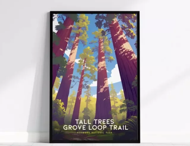 Tall Trees Grove Loop Trail, Redwood National Park, California Poster ...