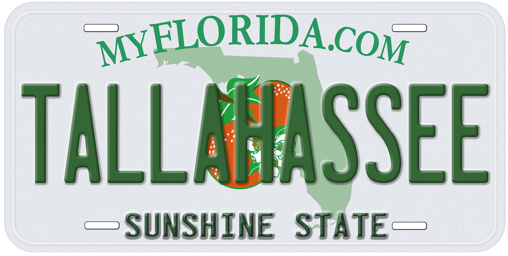 Tallahassee Capital Of Florida Flat Novelty Car License Plate - Walmart.com