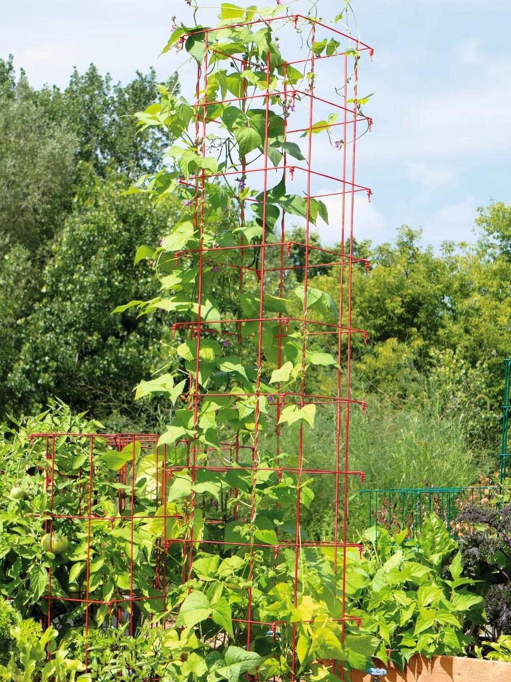 Tallest Bean Support Stake, Powder Coated Steel Trellis for Climbing ...