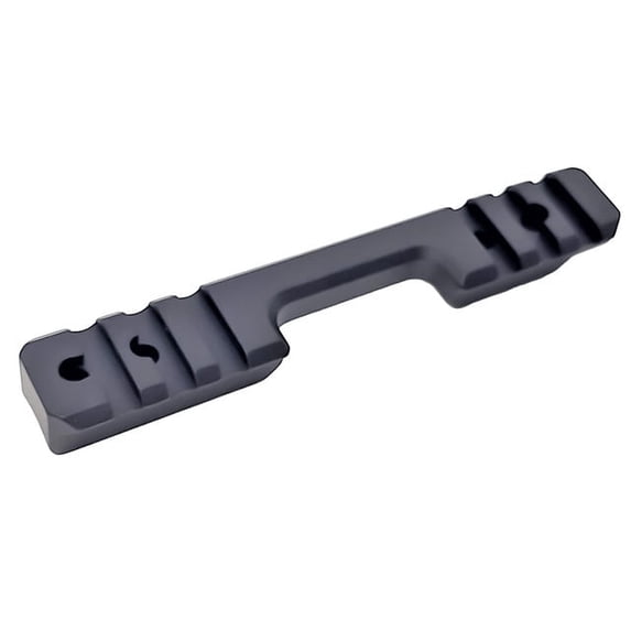 Talley Picatinny Rifle Scope Base, Winchester X-Pert .22 LR, Black ...