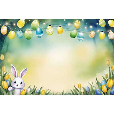 Talt Show Drapes Broadcast Room Studio Backdrop School Party Graduation ...