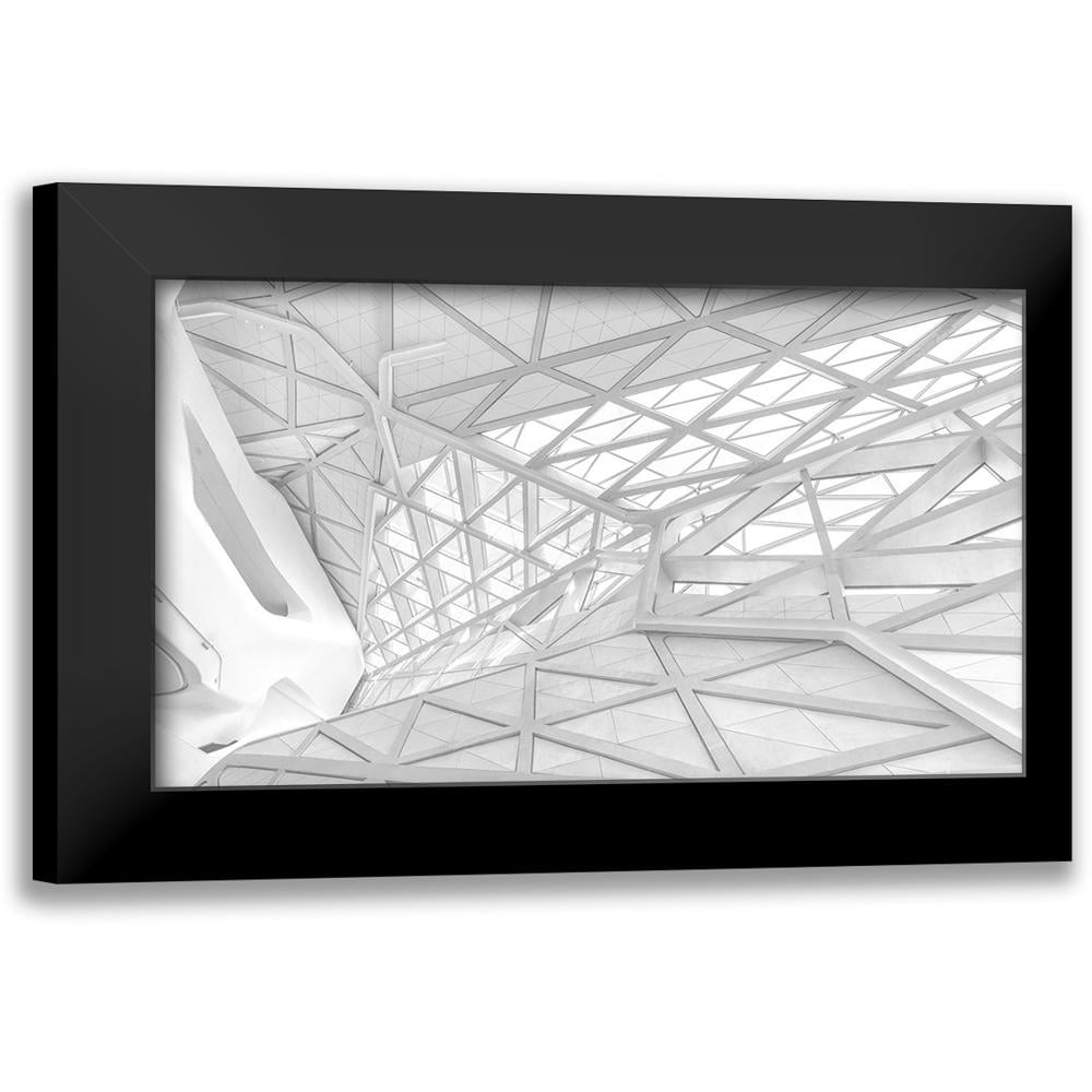 Tam, Ben 24x15 Black Modern Framed Museum Art Print Titled - White Web ...
