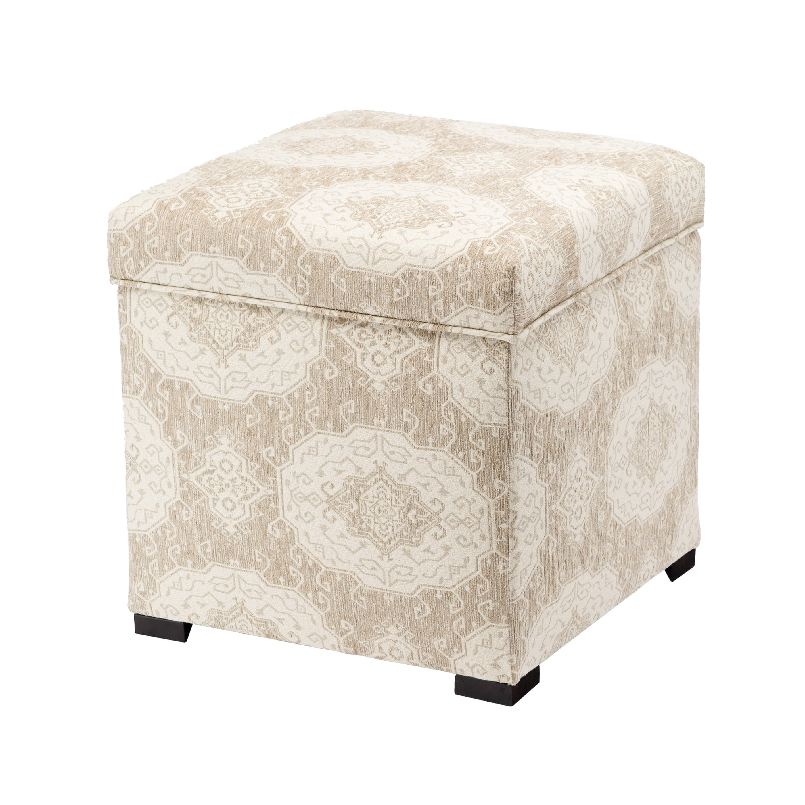 Tami Modern Upholstered Living Room Storage Ottoman - Walmart.com