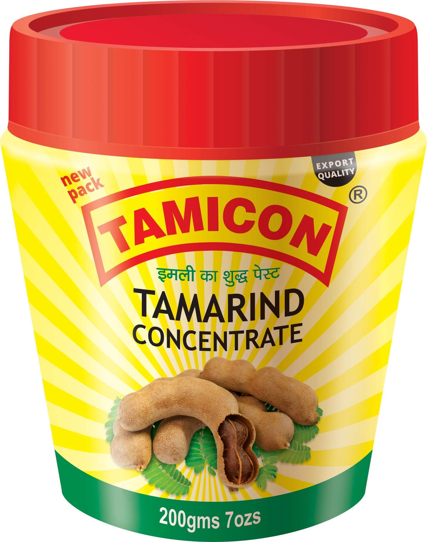 Tamicon Tamarind MQH2 Concentrate | Tangy & Sour Imli Chutney | South ...