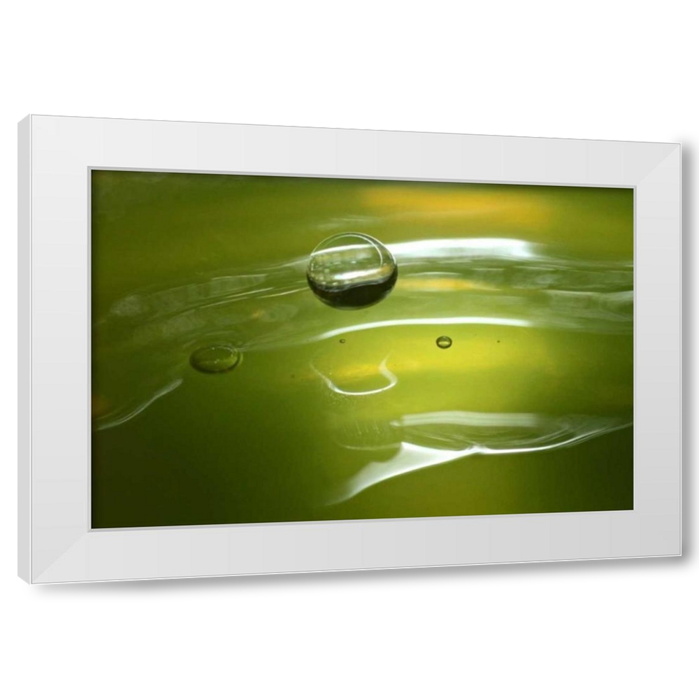 Tammy Putman 14x11 White Modern Wood Framed Wall Art Titled - Lemon ...