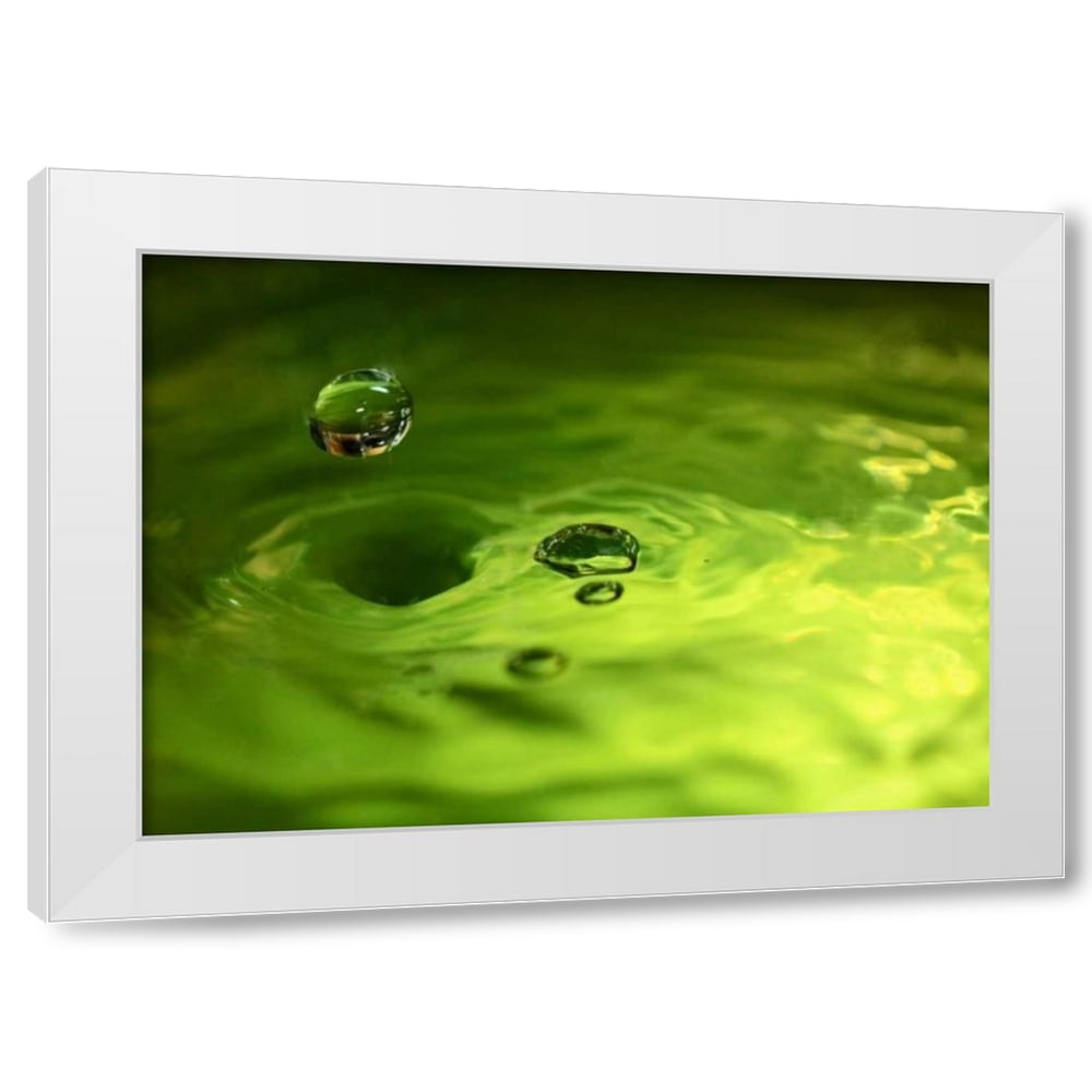 Tammy Putman 18x14 White Modern Wood Framed Wall Art Titled - Lemon ...