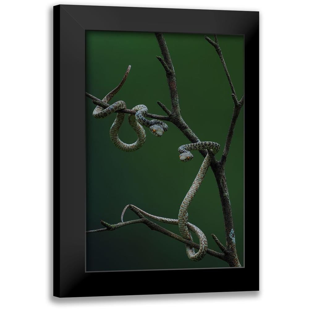 Tan Phat, Dao 11x14 Black Modern Framed Museum Art Print Titled - Hon ...