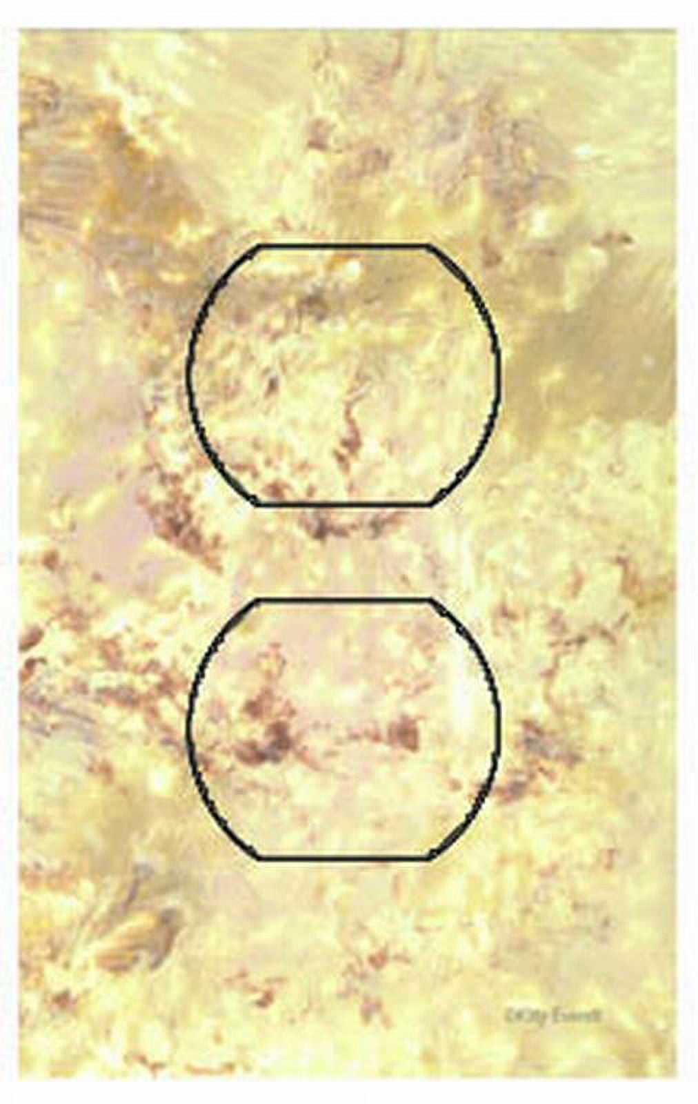 Tan Stone Texture Single Duplex SwitchStix Peel and Stick Art Deco ...