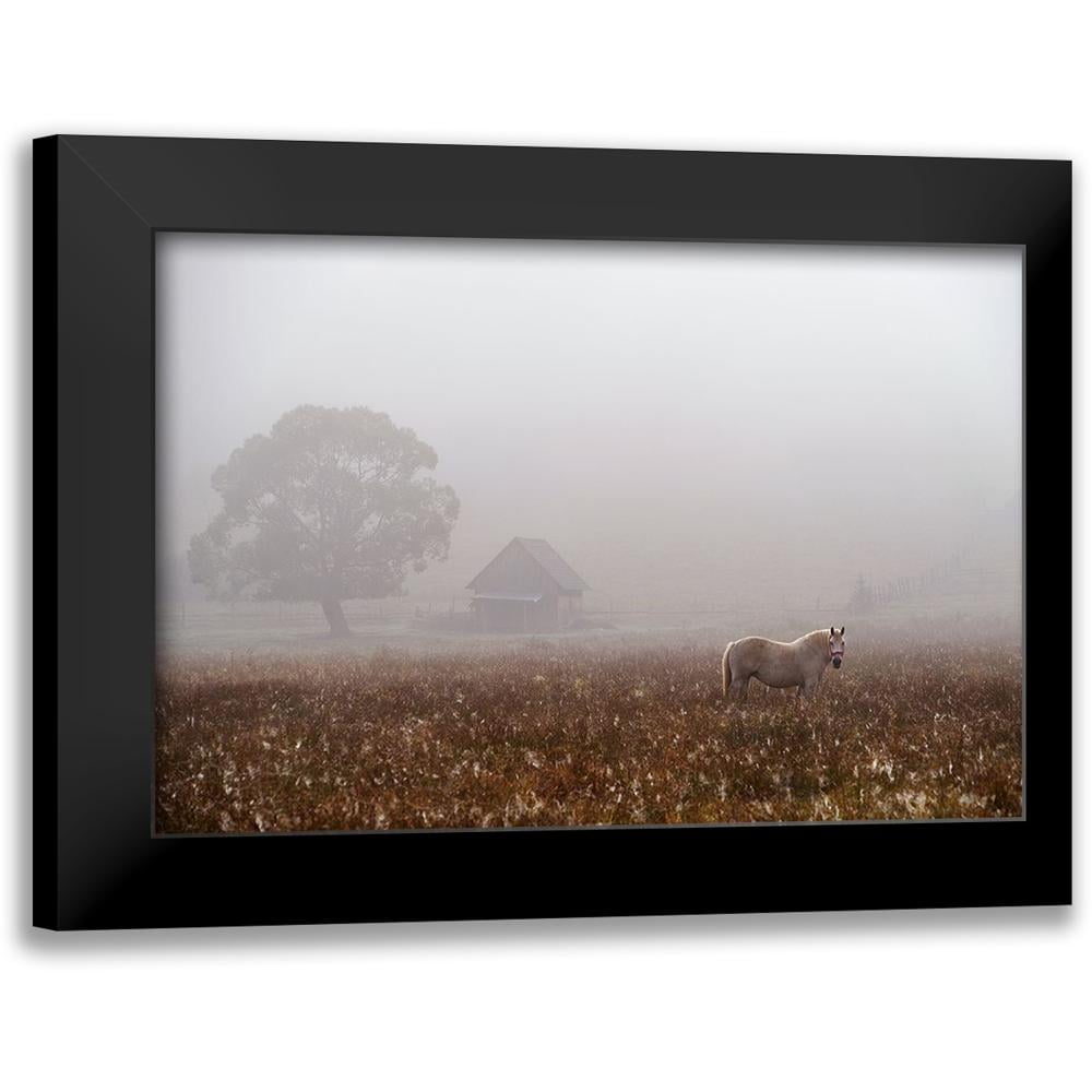 Tanase, Sorin 24x18 Black Modern Framed Museum Art Print Titled ...