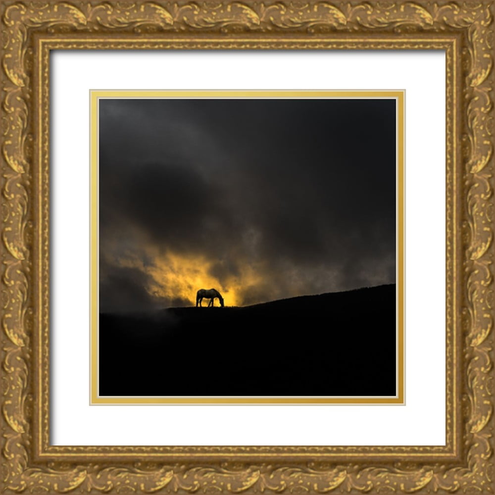 Tanev, Todor 26x26 Gold Ornate Wood Framed with Double Matting Museum ...