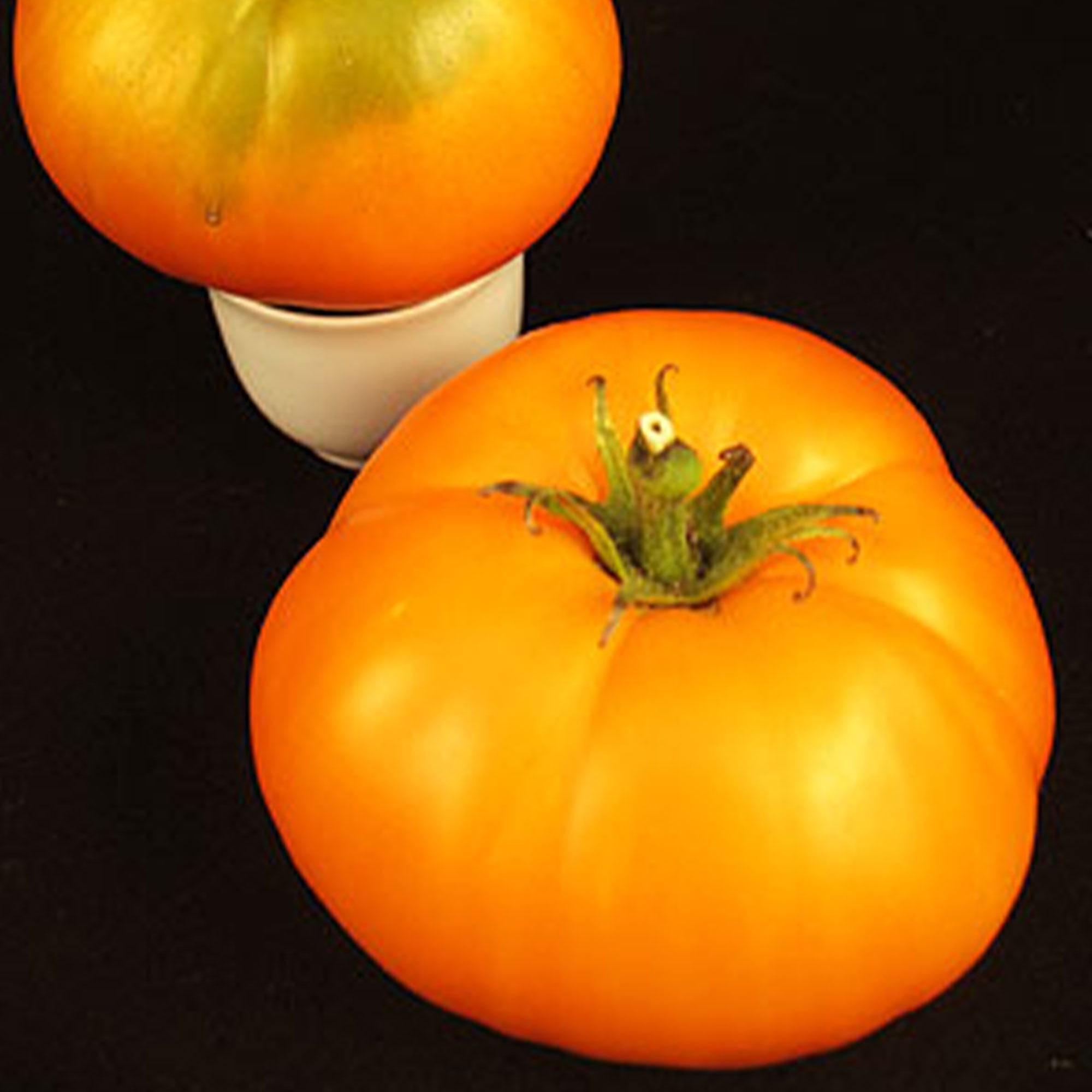 Tangerine Tomato Seeds ~25 Seeds - Heirloom, Open Pollinated, Non-GMO ...