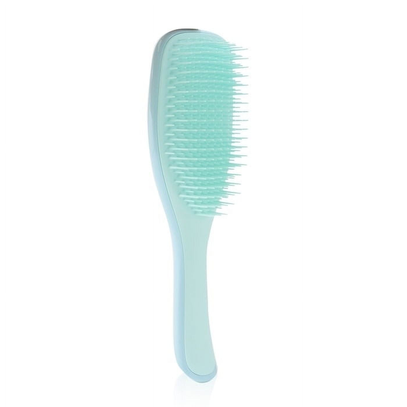 Tangle Teezer The Wet Detangling Fine & Fragile Hair Brush - Mint 1pc ...