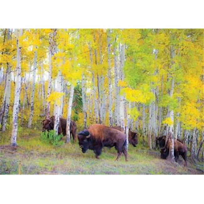 Tangletown Fine Art Autumn Buffs by Gary Crandall Poster Frame - 19 x ...