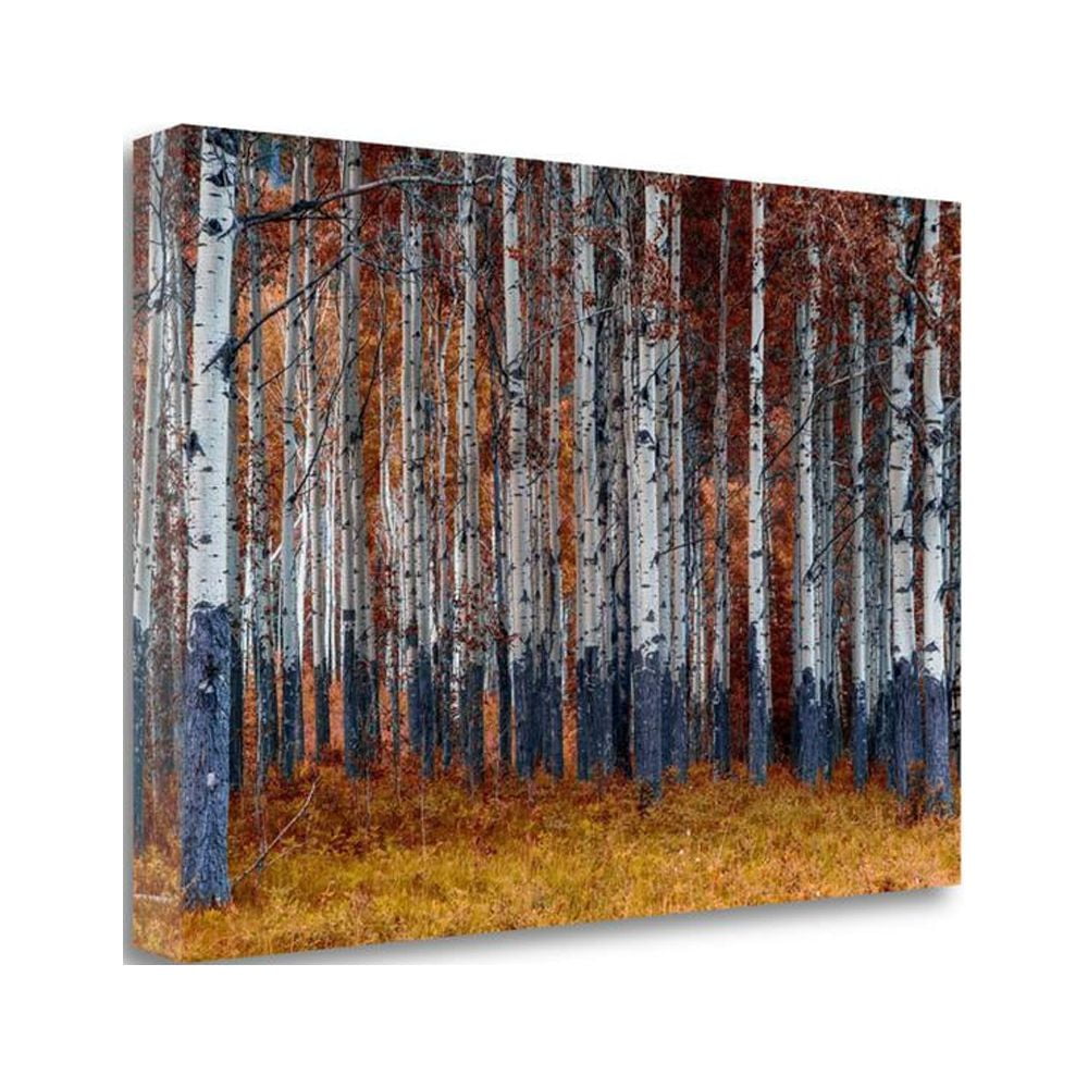 Tangletown Fine Art Autumn Forest by Vladimir Kostka Poster Frame - 16 ...