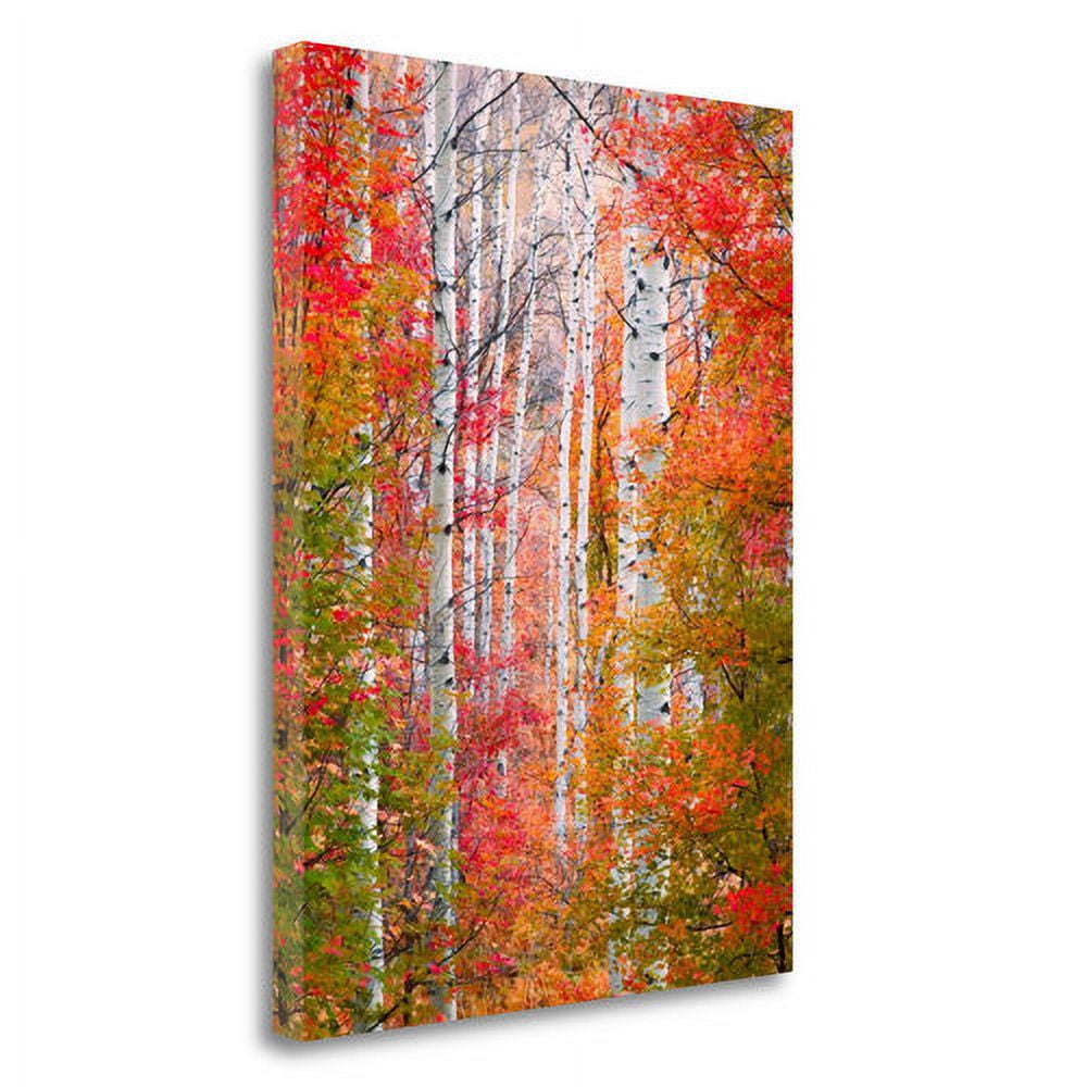 Tangletown Fine Art 'Autumn Passage' Graphic Art Print on Wrapped ...
