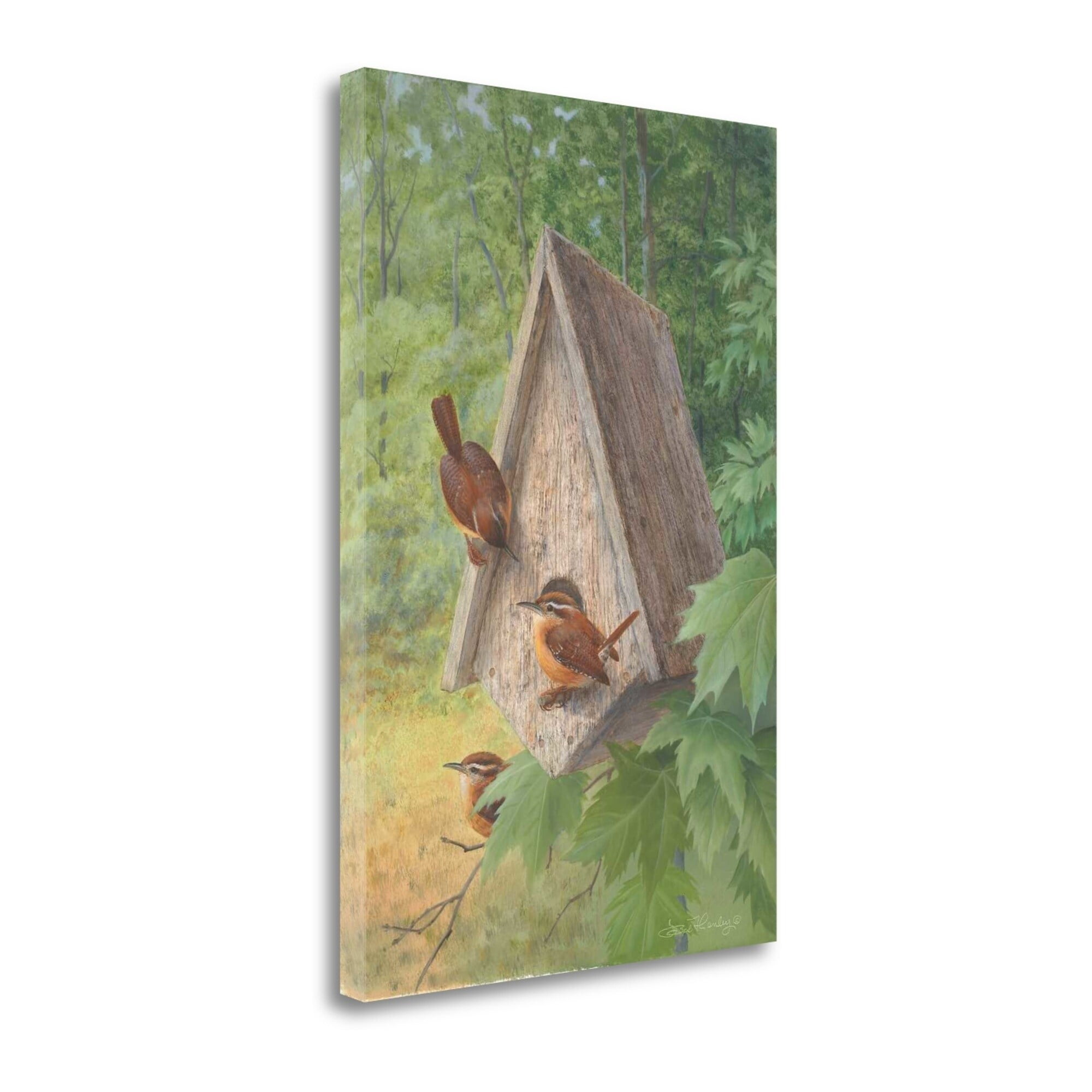 Tangletown Fine Art Bird House by Bob Henley Poster Frame - 28 x 19 x 1 ...