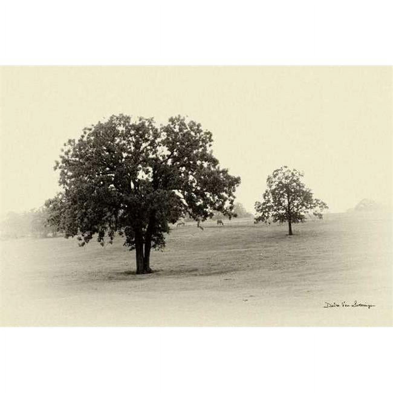 Tangletown Fine Art Horses & Tress II by Debra Van Swearingen Poster ...