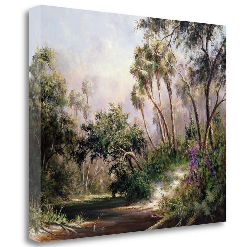 Tangletown Fine Art Myakka River Scene by Art Fronckowiak Poster Frame ...
