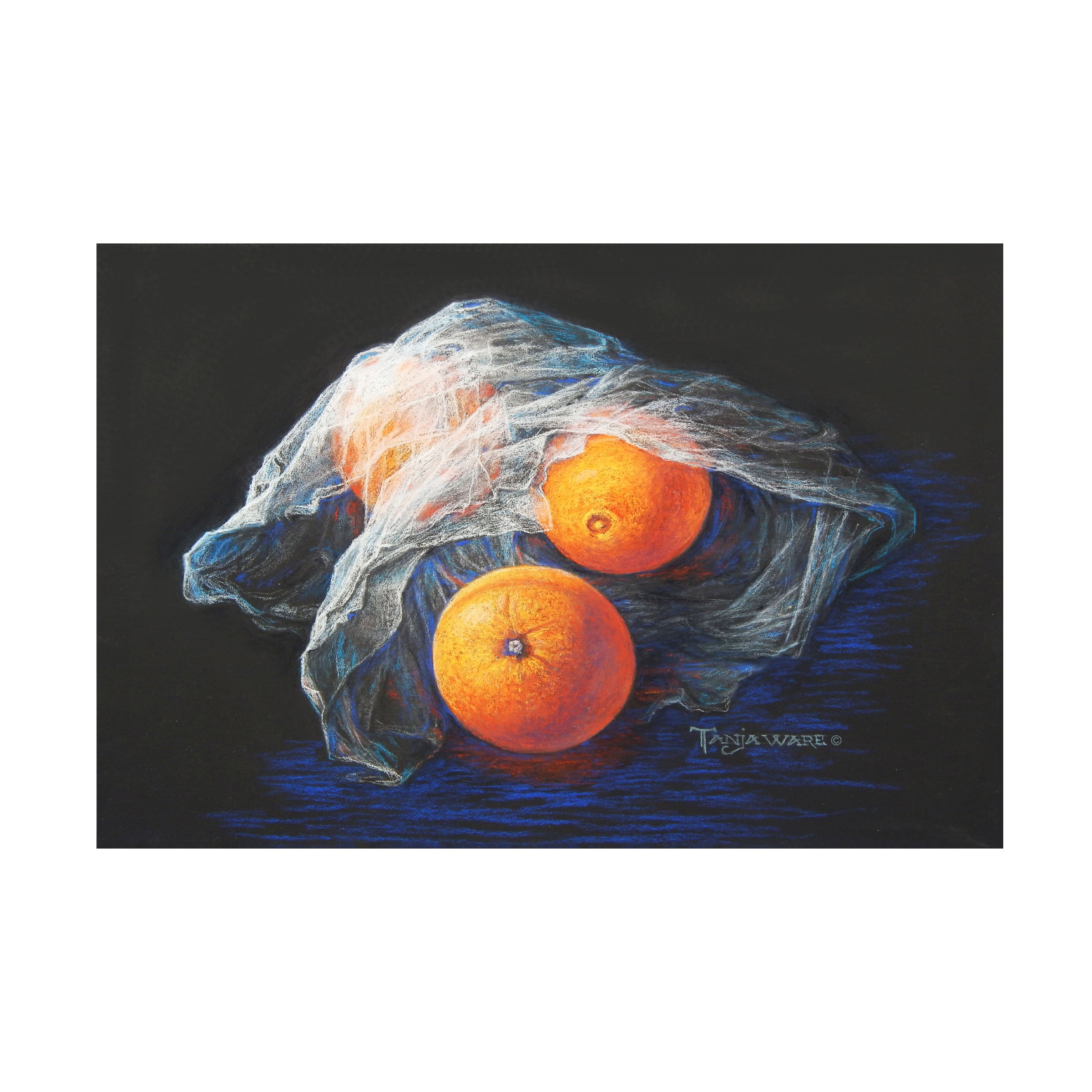 Tanja Ware 'Simply Oranges' Canvas Art - Walmart.com