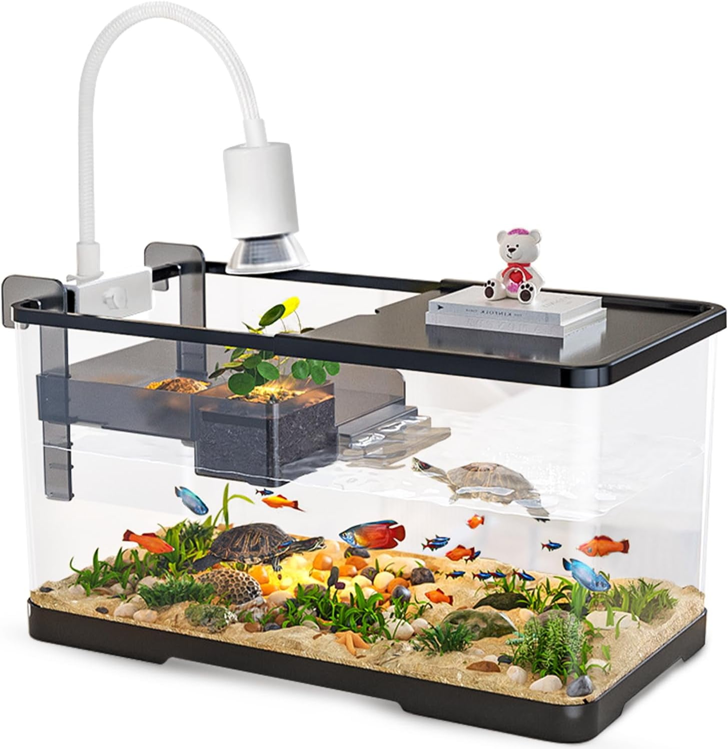 (Tank + Light + Filter Balls) Turtle Tank Kit, Turtle Tank Starter Kit ...