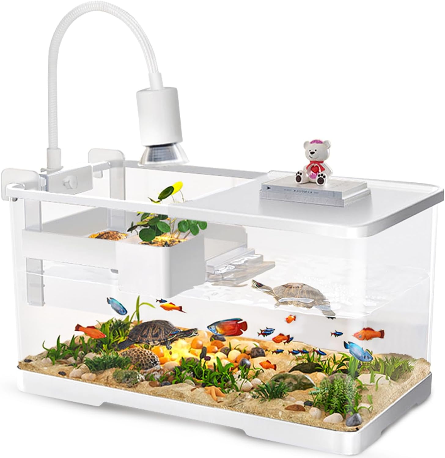 (Tank + Light + Filter + Filter Balls) Turtle Tank Kit, Turtle Tank ...