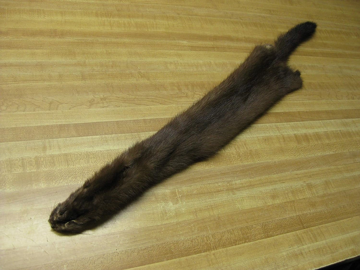 Tanned Male Mink Hide # 1 Quality - Walmart.com