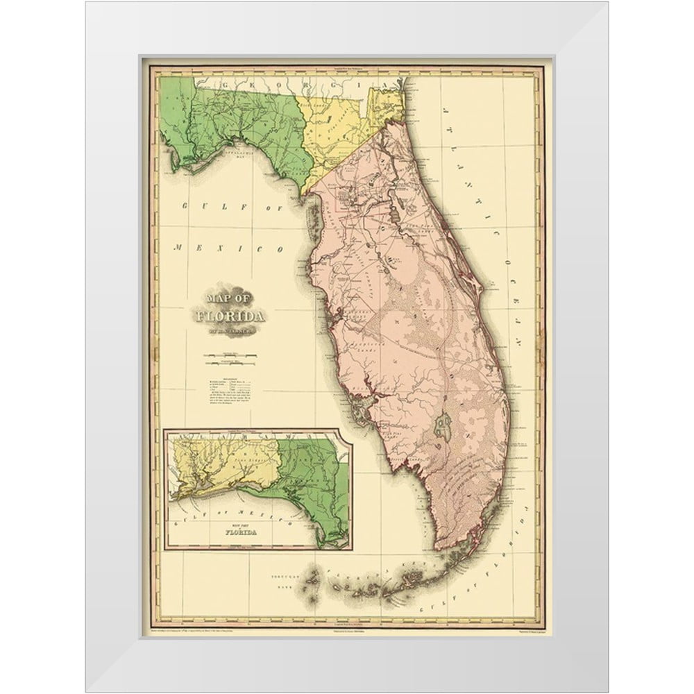 Tanner 14x18 White Modern Wood Framed Museum Art Print Titled - Florida ...