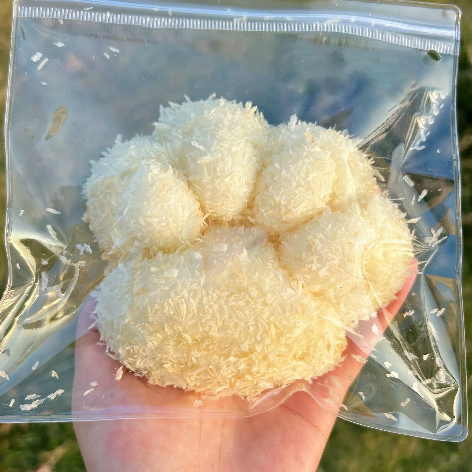 Tannnchen Big Extra Large Cat Pinching And Relaxing Toy High Appearance ...