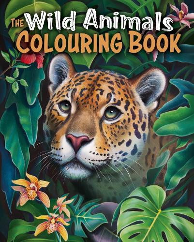 Tansy Willow The Wild Animals Colouring Book (Paperback) Arcturus ...