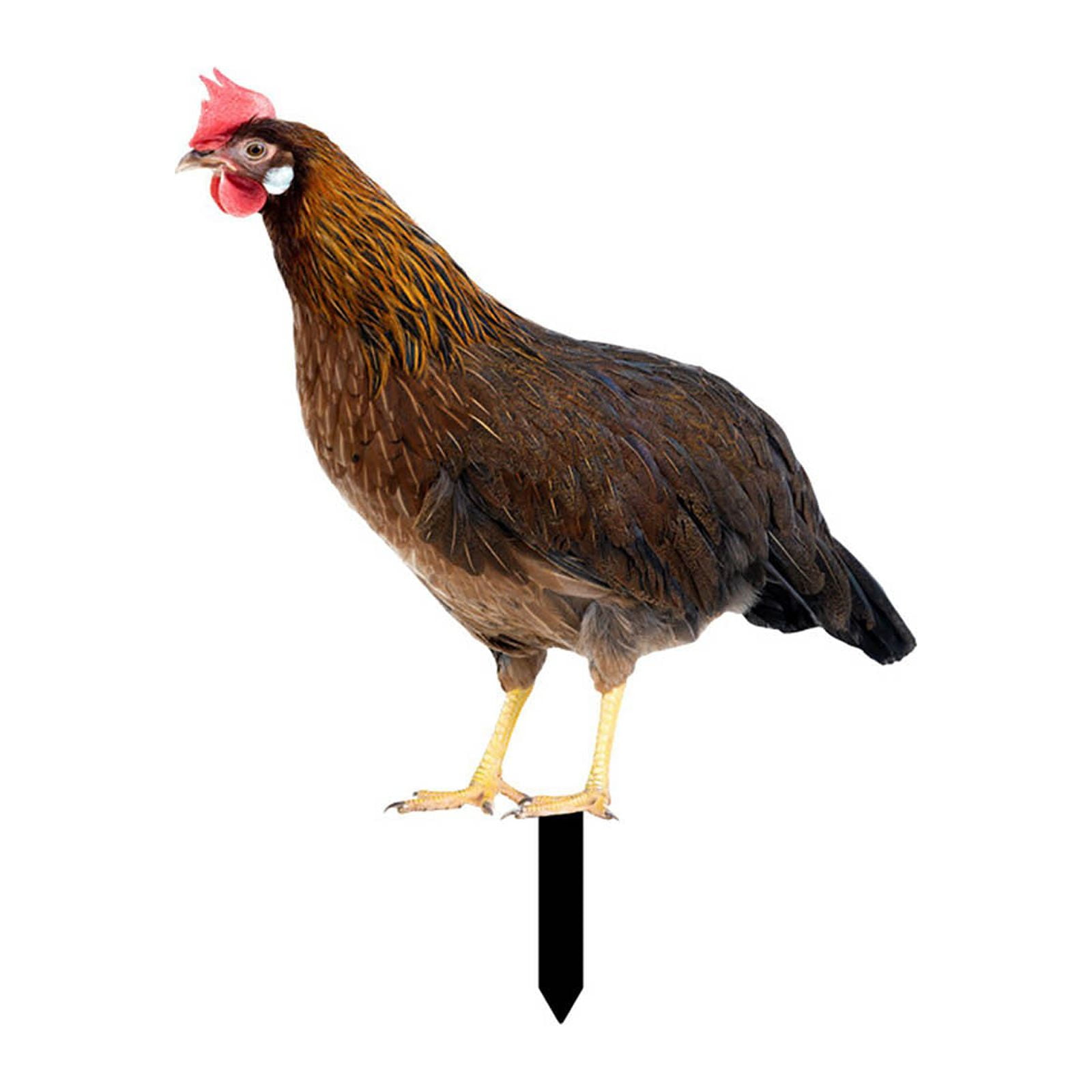 Tantouec Garden Decoration Fun Plug In Rooster Hen Courtyard Plug In ...