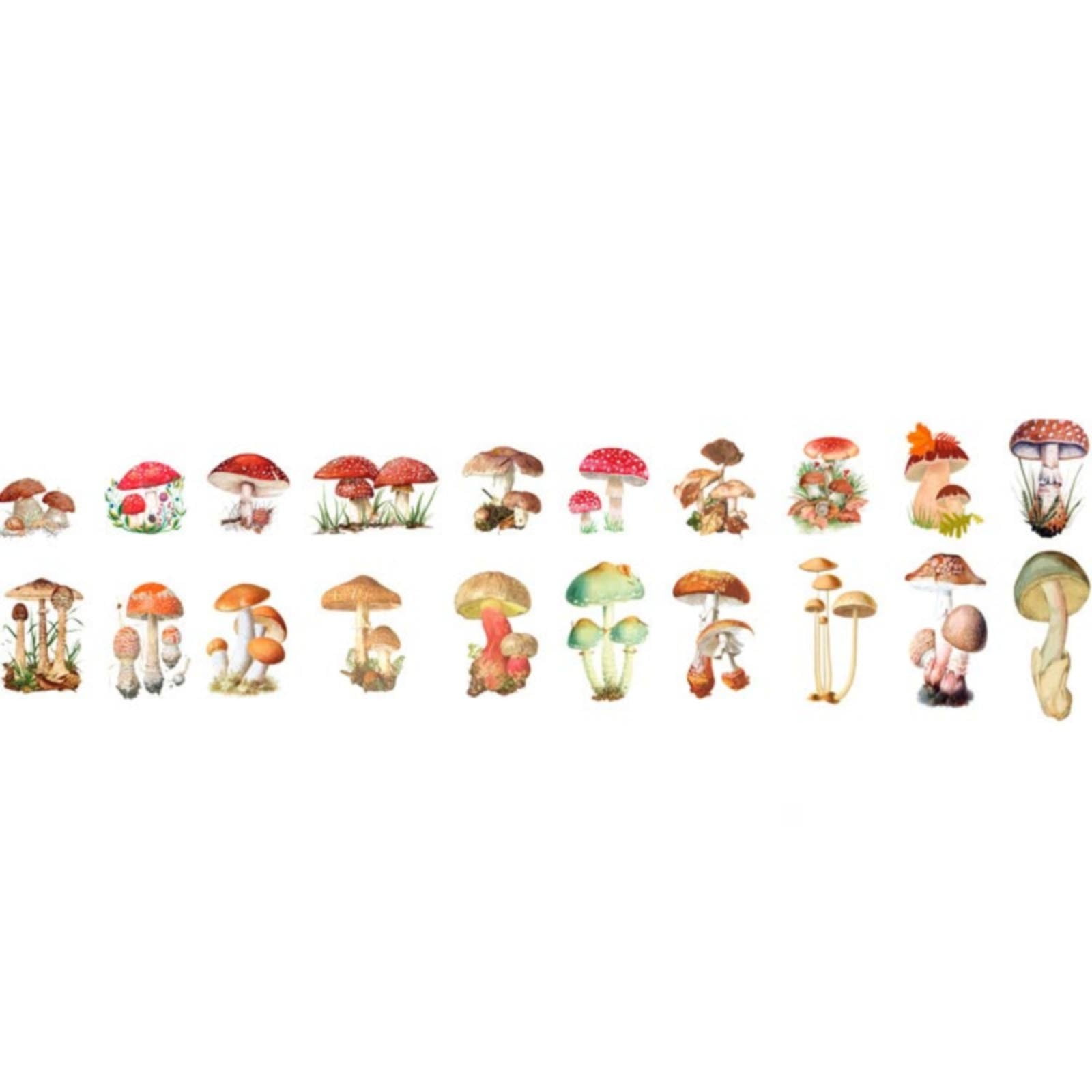 Tanxxt Sale Nature Photo Collection Window Secret Language PET Hand ...