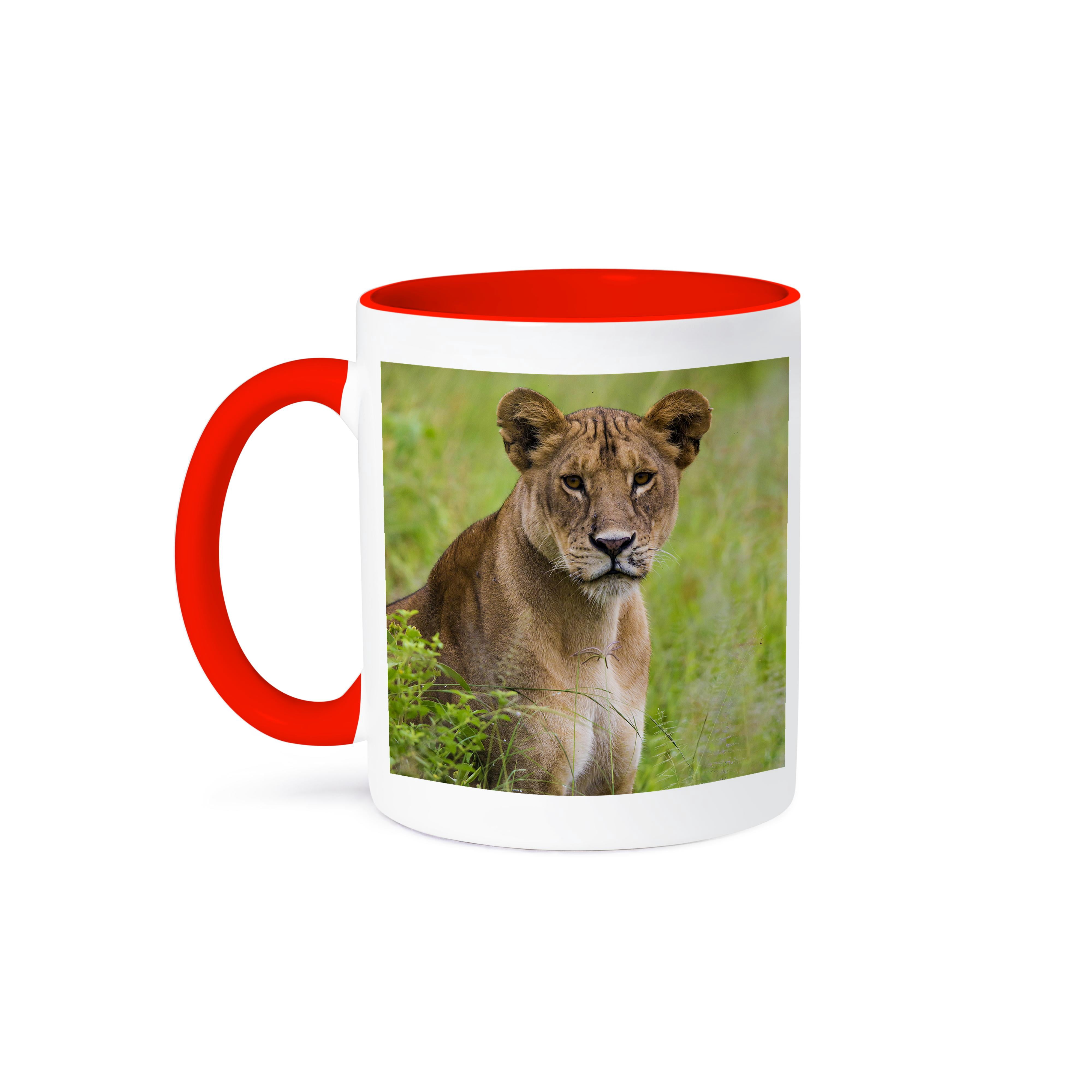 3drose, Tanzania. African Lioness, Panthera Leo, at Tarangire National ...