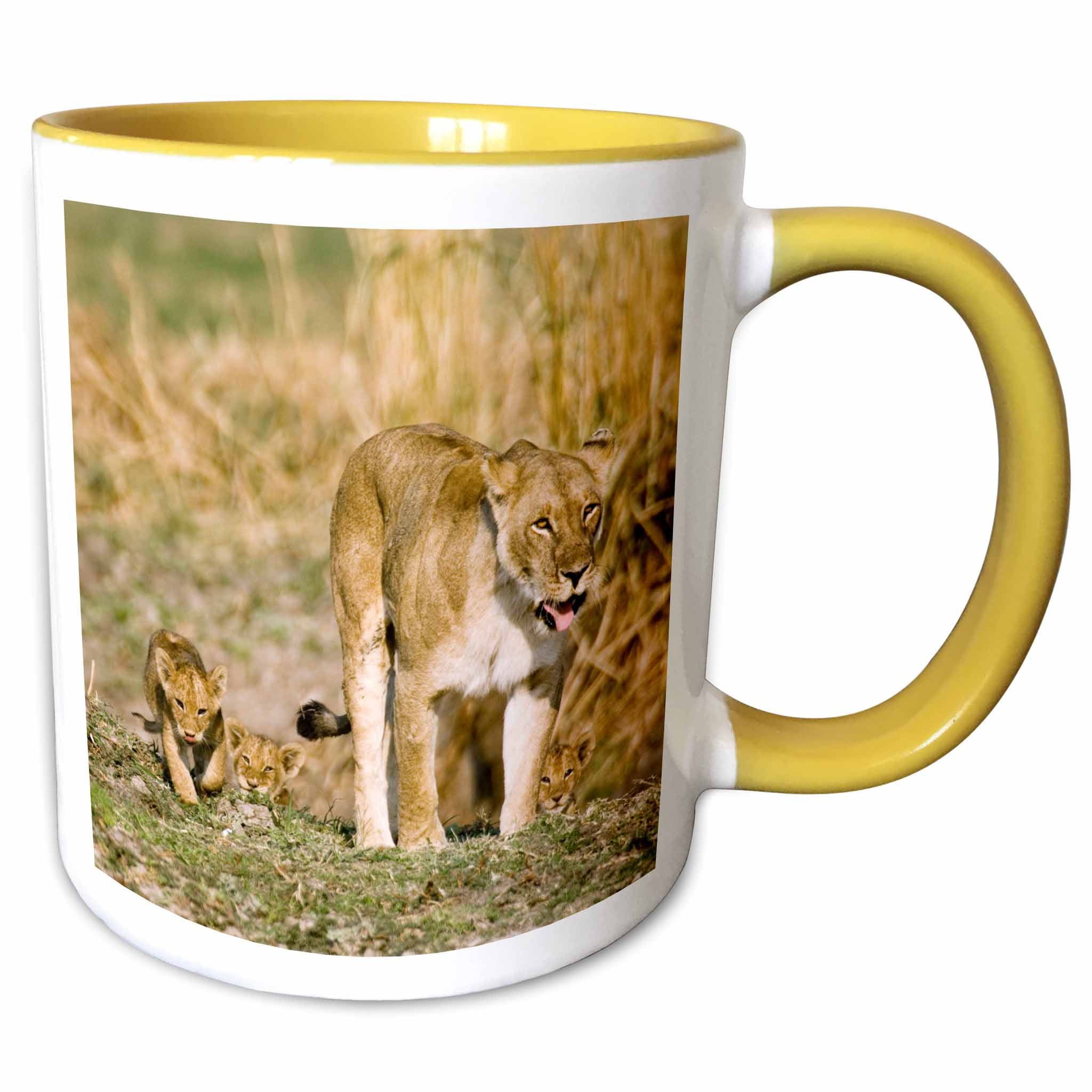 3drose, Tanzania, Katavi, Lioness and Cub -af45 Dsr0022 - Daniel ...