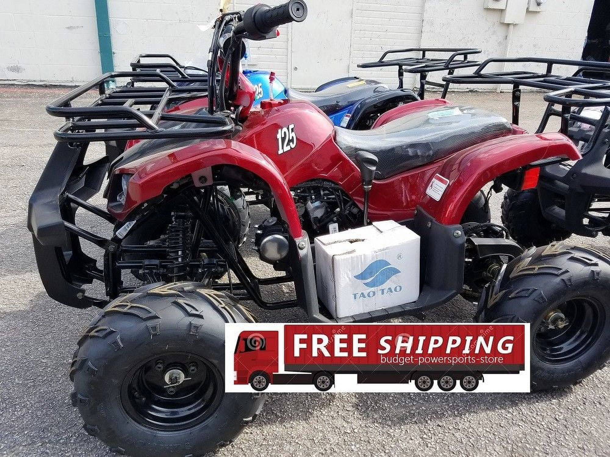 Tao Motor 125cc Quad, 4 Wheeler Fully Automatic Gas Powered Youth Moto ...