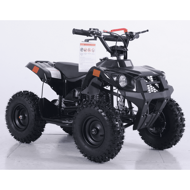 Tao Motor 40cc Gas Mini Tforce ATV for Kids, 4 Stroke, Pull Start, Disc ...