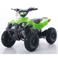 Tao Motor 40cc Gas Mini ATV for Kids, 4 Stroke, Pull Start, Disc Brake ...