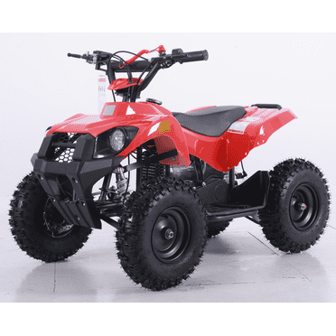 Tao Motor 125 T-FORCE Platinum 120cc Gas Powered Quad Wheeler All ...