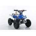 Tao Motor 40cc Gas-Powered Quad Wheeler Mini ATV for Kids - Pull Start ...