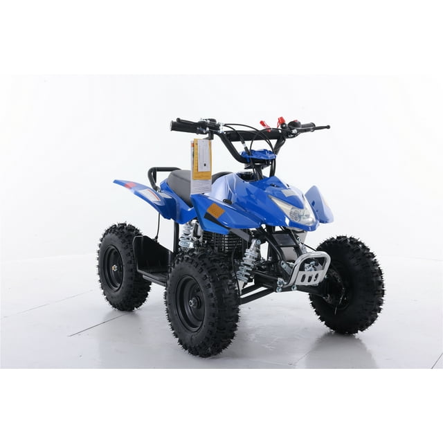 Tao Motor 40cc Gas-Powered Quad Wheeler Mini ATV for Kids - Pull Start ...