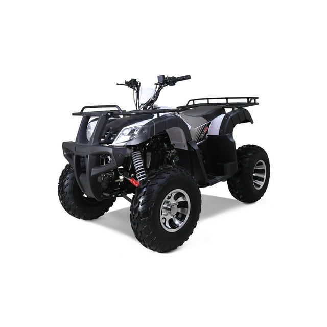 Tao Motor Bull200s 169cc Quad 4-Stroke Gas Engine Adult ATV, Gray ...