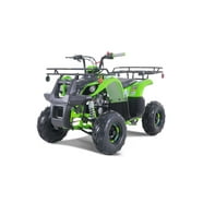 Tao Motor New 125 T-FORCE Platinum 120 cc Gas All-Terrain Vehicle (ATV ...