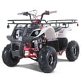 "Tao Motor D125 107cc 4-Stroke Kids Gas Powered Four Wheeler Quad ATV ...