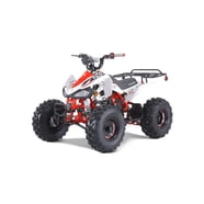 Tao Motor New 125 T-FORCE Platinum 120 cc Gas All-Terrain Vehicle (ATV ...