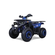 Tao Motor New 125 T-FORCE Platinum 120 cc Gas All-Terrain Vehicle (ATV ...
