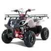 "2024 TaoTao ATA-125D Kids Size Four Quad, 125cc, Gas Powered, Fully ...