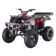 Tao Motor 125 T-FORCE Platinum 120cc Gas Powered Quad Wheeler All ...