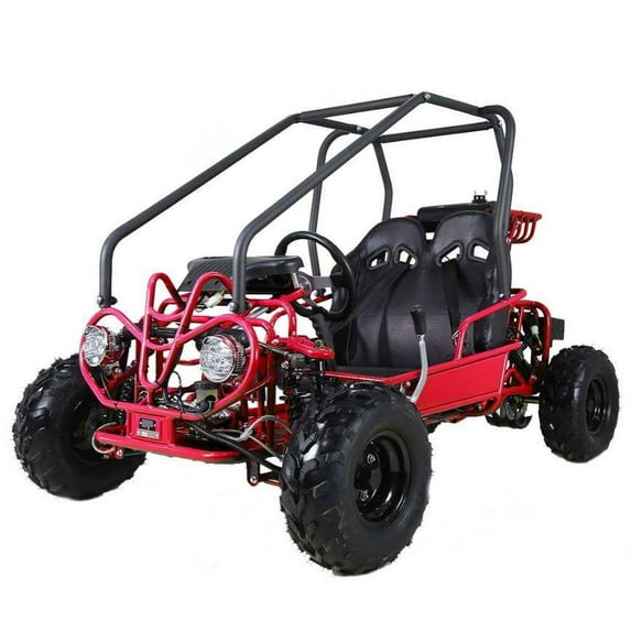 Tao Motor Upgraded GK110 110CC Gasoline Powered Go Kart for Kids, 4-Stroke Automatic with ...