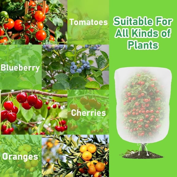 Blueberry Bush Protection