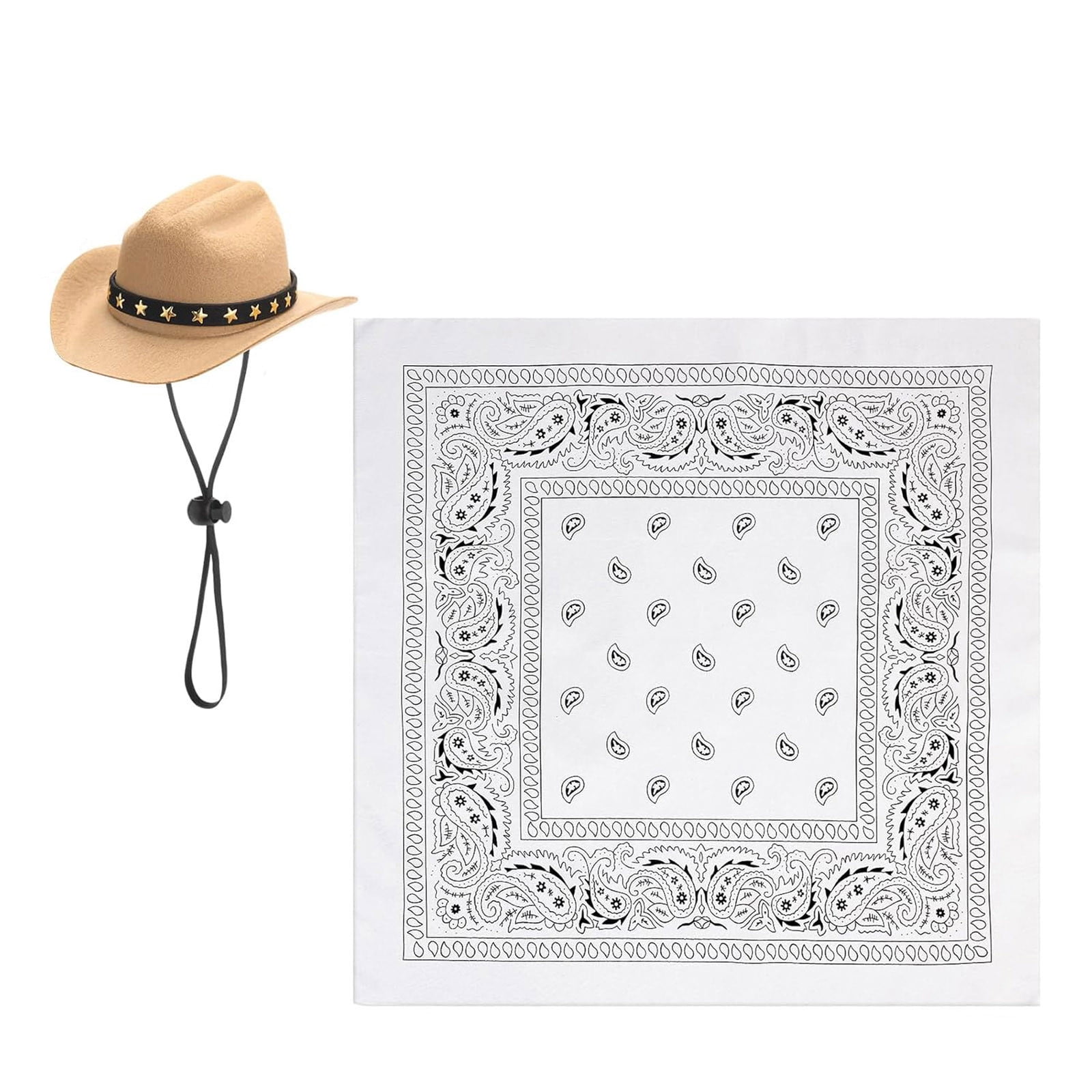 Tao Tao Cowboy Goose Outfit With Cowboy Hat And Bandana Funny Porch ...