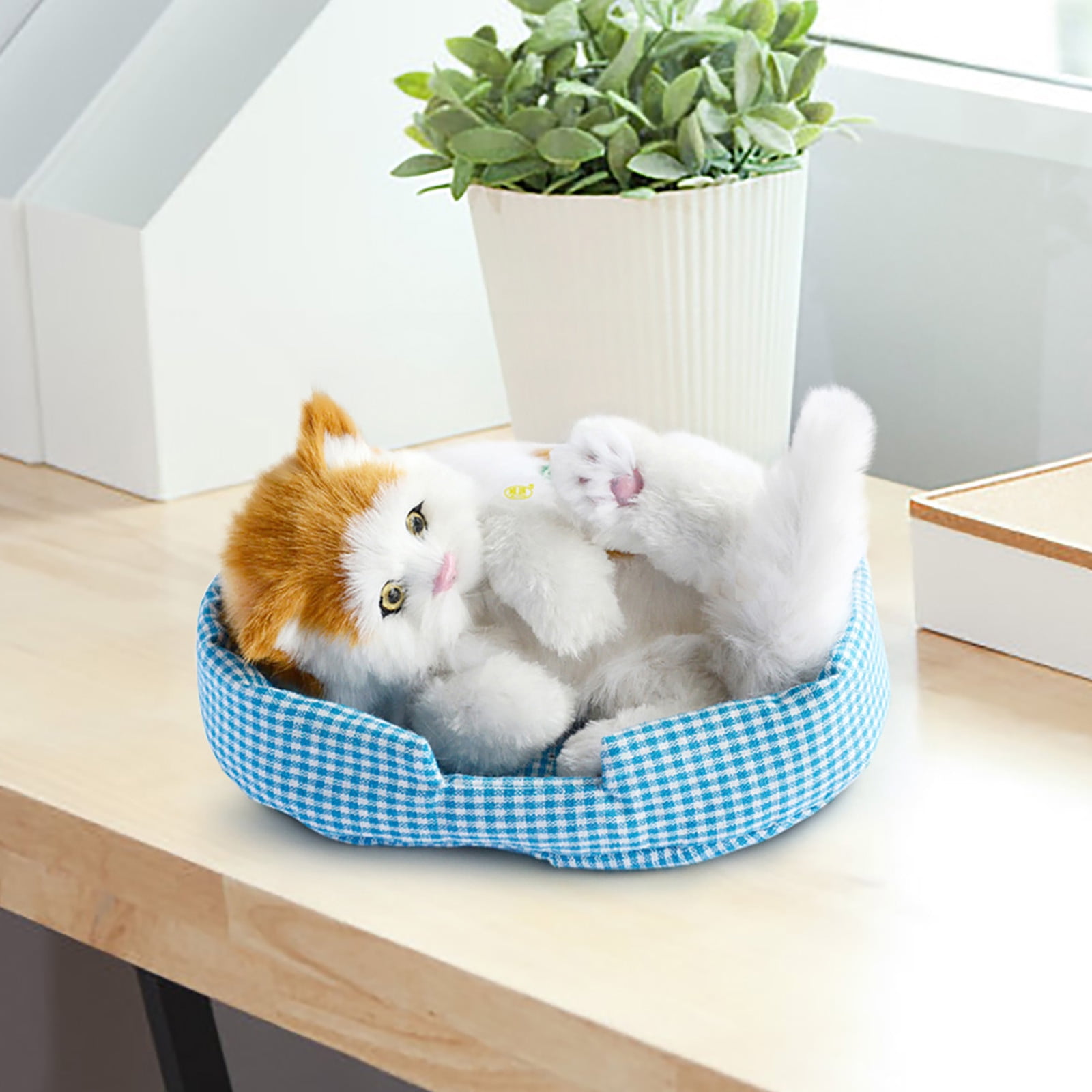 Tao Tao Sleeping Cat In Cattery Doll Toy Ornaments, Mini Kitten With ...